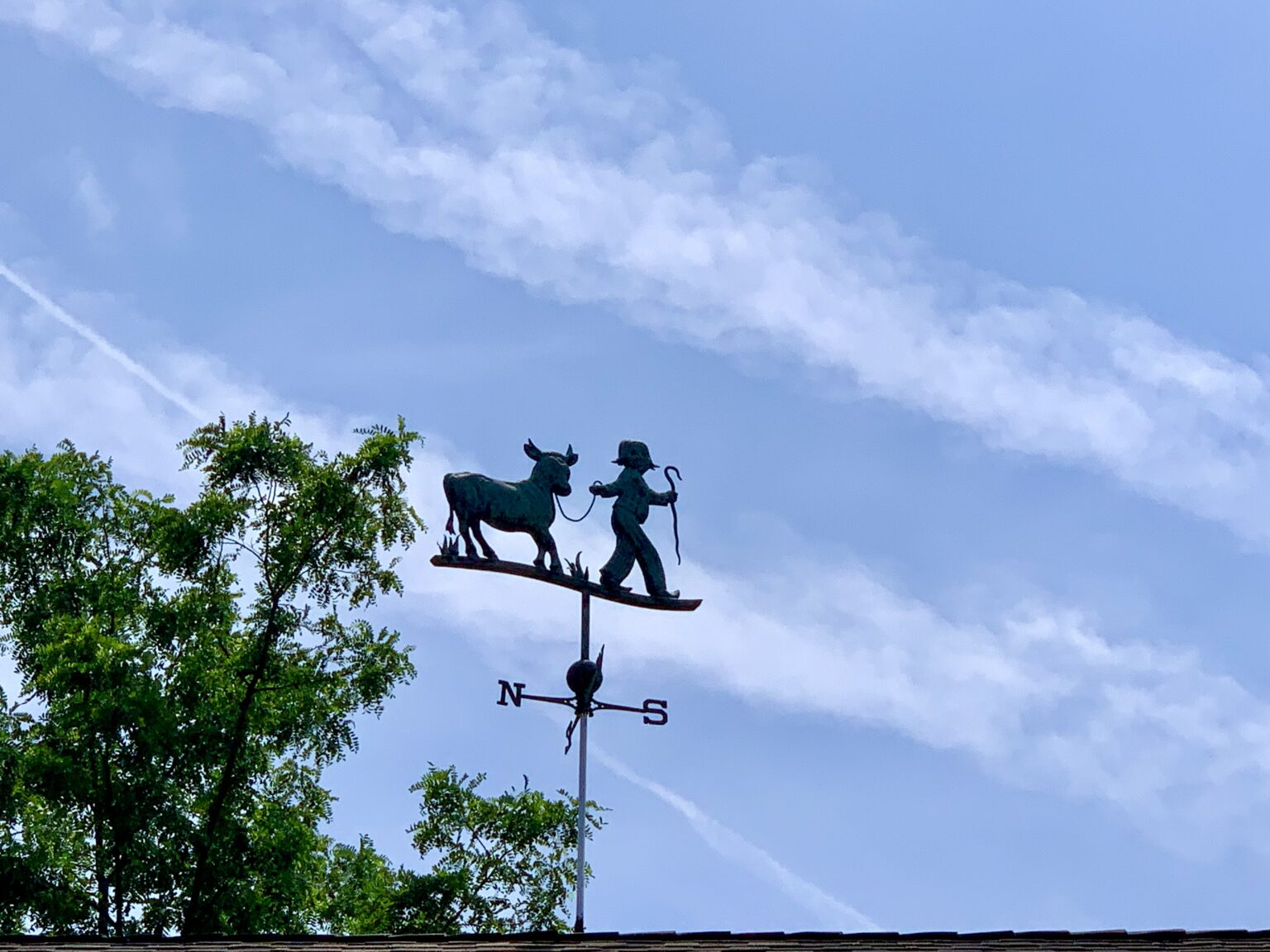 WHERE HAVE I SEEN THIS? - Red Bank Green