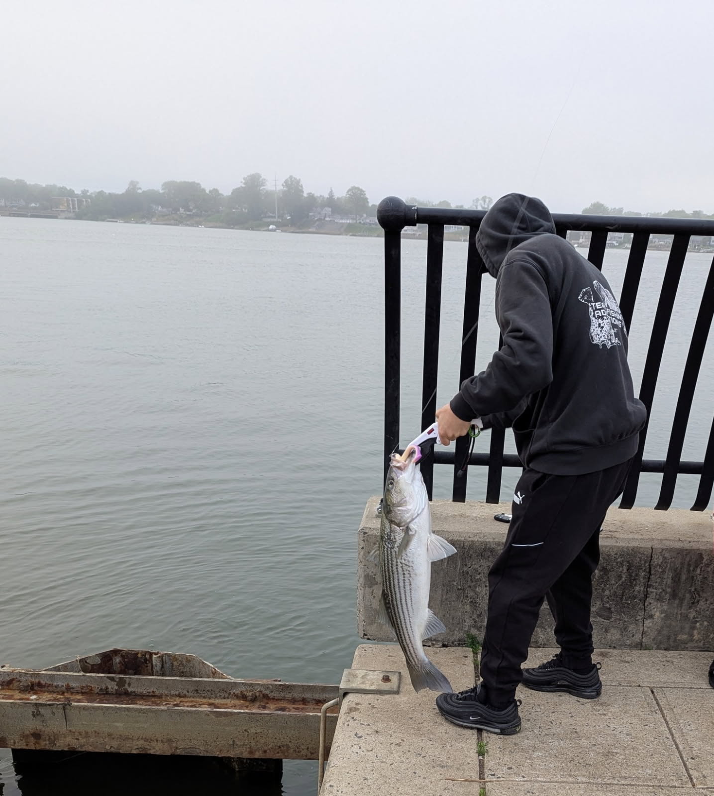 STRIPER RUN AT MARINE PARK - Red Bank Green